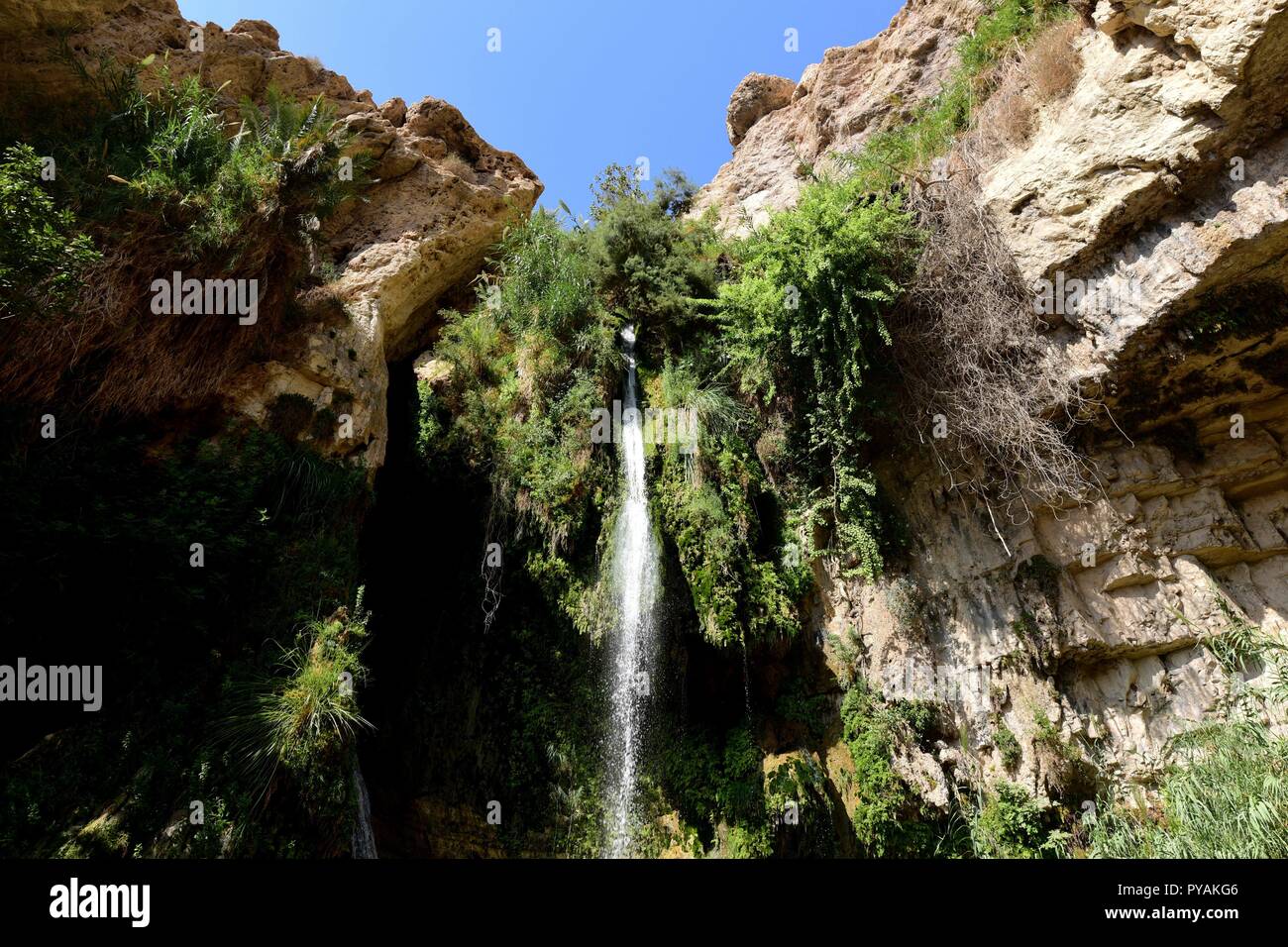 En Gedi Stock Photos & En Gedi Stock Images - Alamy