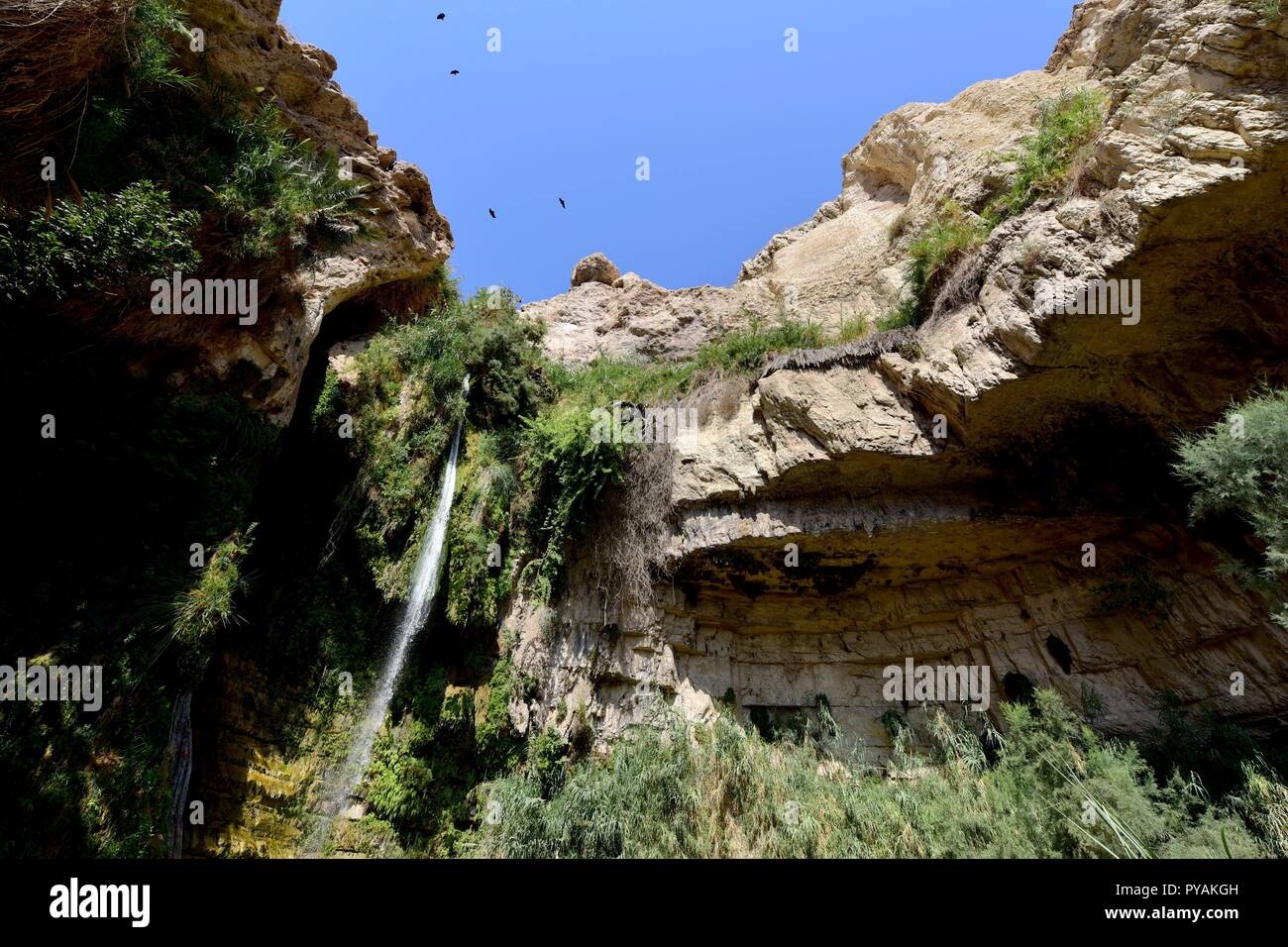 The David waterfall at the Wadi David in En Gedi (Israel), 28 September ...