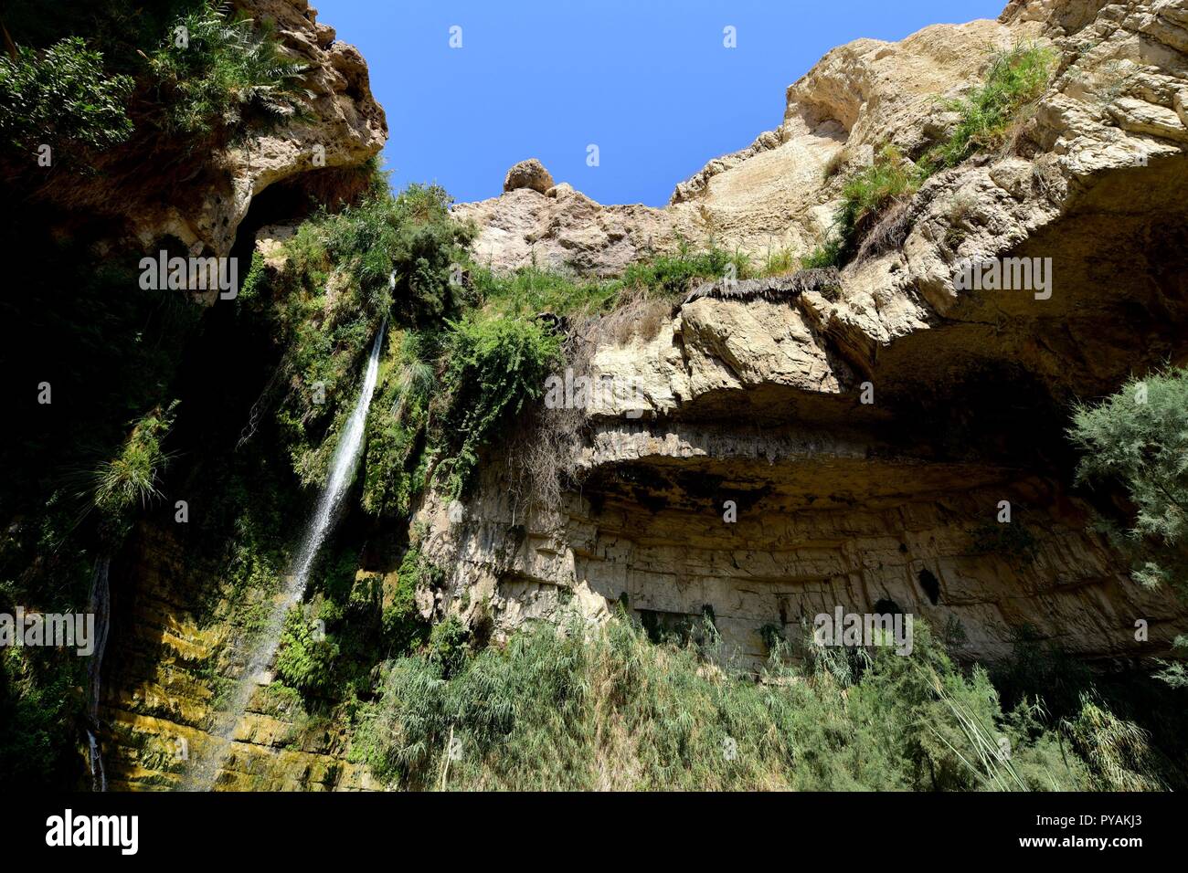 The David waterfall at the Wadi David in En Gedi (Israel), 28 September ...
