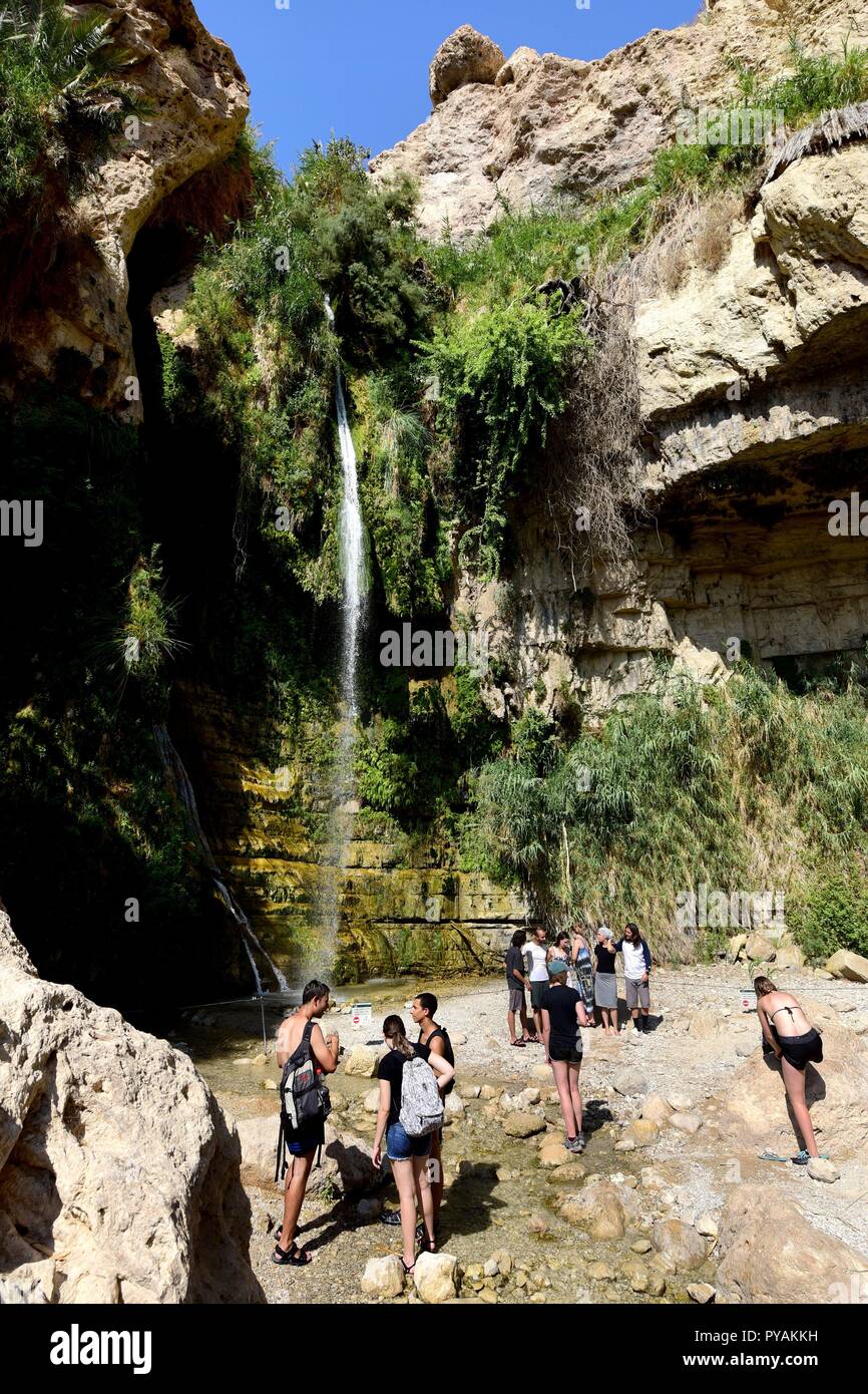 The David waterfall at the Wadi David in En Gedi (Israel), 28 September ...