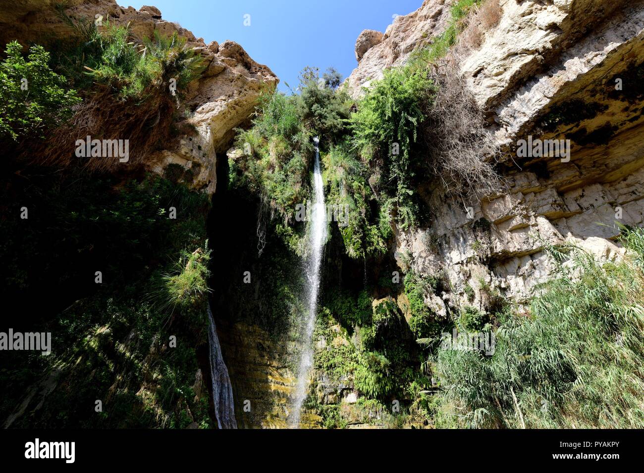 En Gedi High Resolution Stock Photography and Images - Alamy