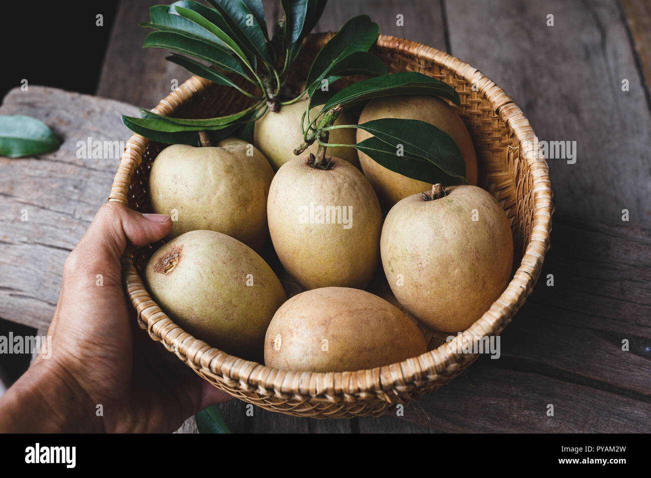 Fresh sapodilla fruits Stock Photo - Alamy