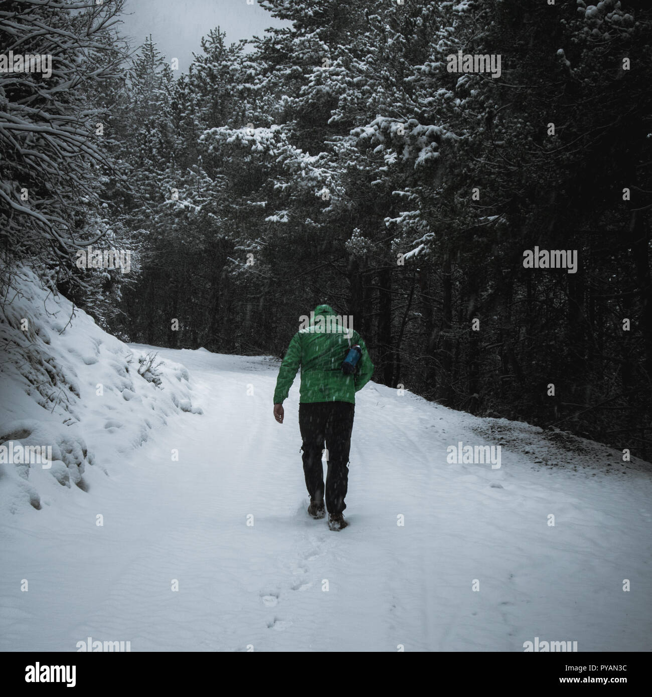 The facts of life season hi-res stock photography and images - Alamy