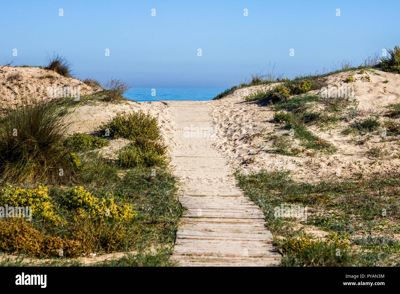 Wooden path through the dunes in a mediterranean beach Stock Photo - Alamy