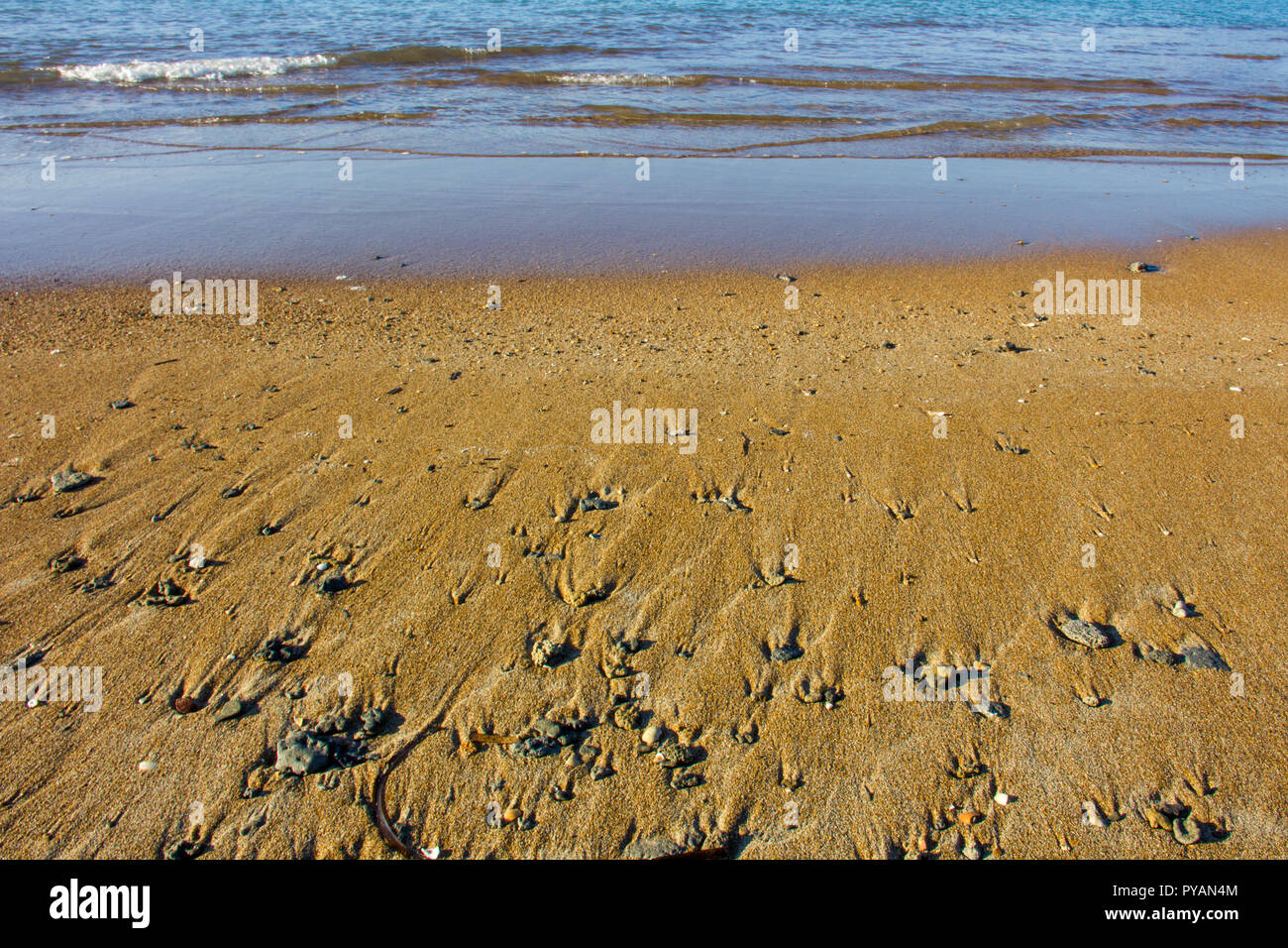 Beach sand waves warm texture hi-res stock photography and images - Alamy