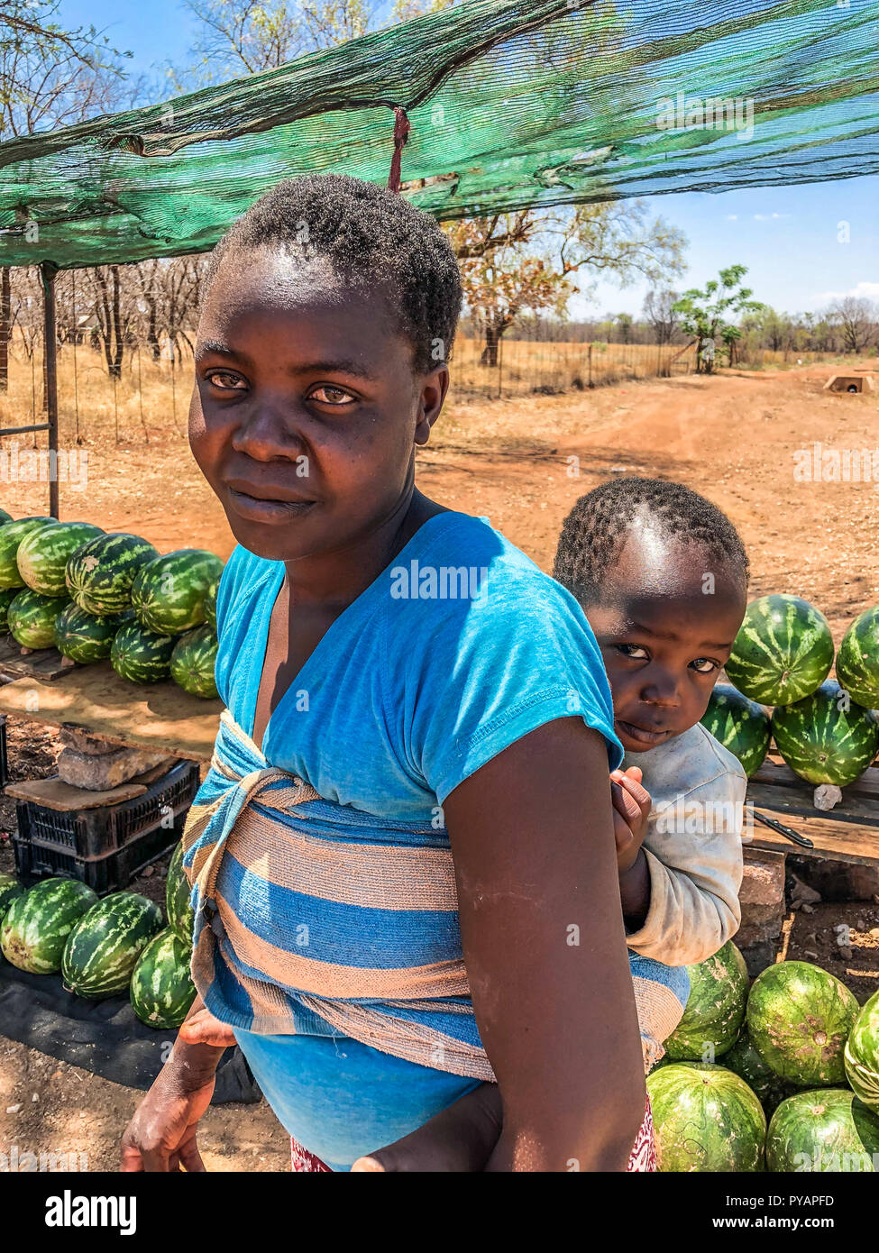 Watermelon carry hi-res stock photography and images - Alamy