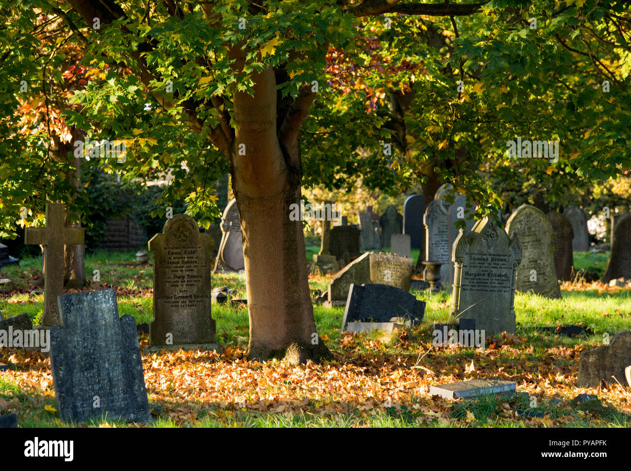 Nottingham rock city hi-res stock photography and images - Alamy