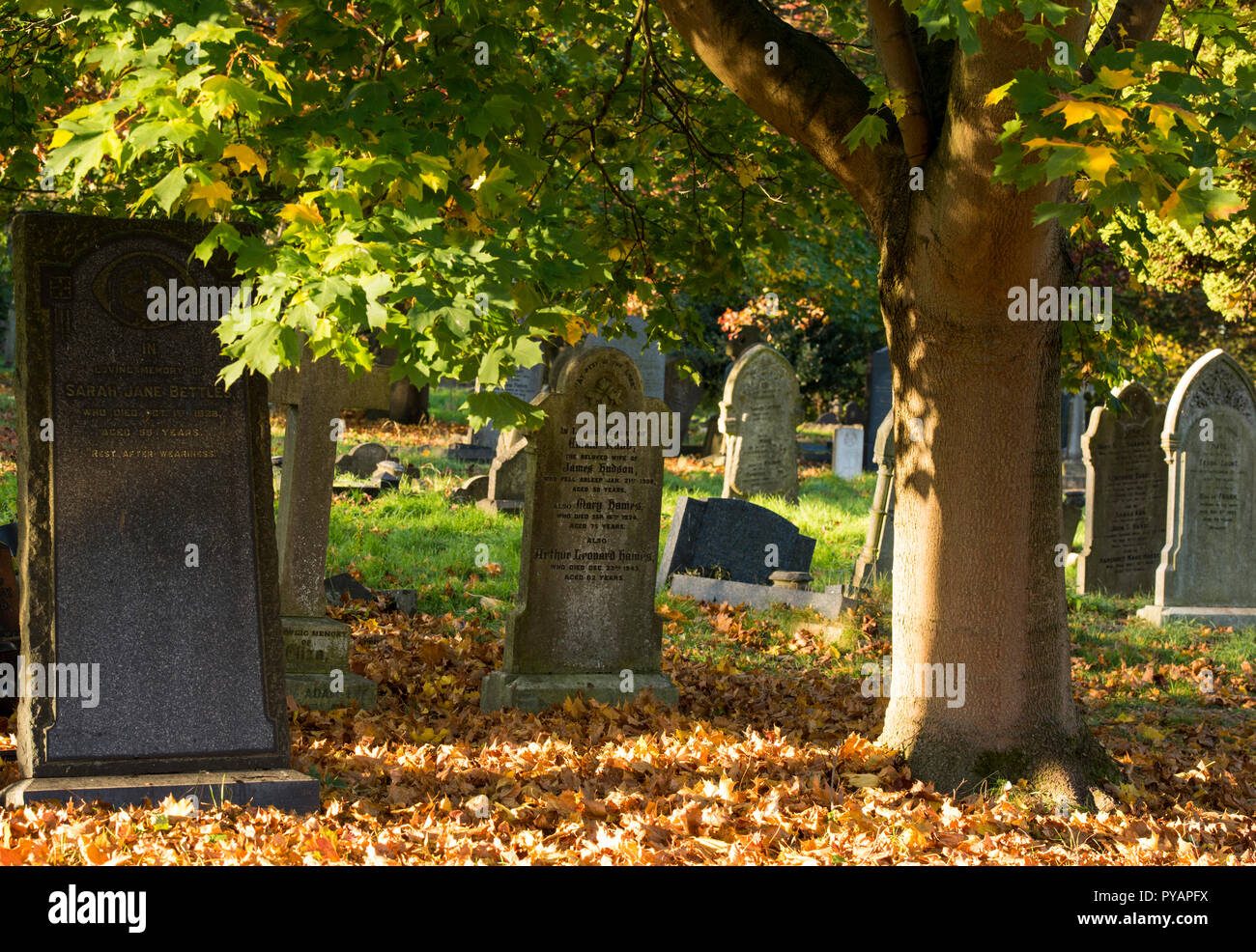 Autumn at Rock Cemetery in Nottingham, Nottinghamshire England UK Stock ...