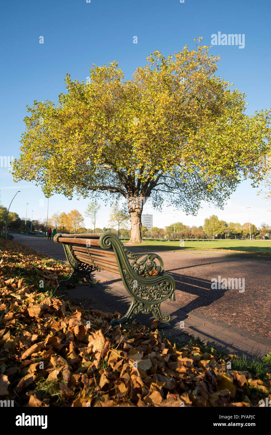 Autumn morning light at the Forest Recreation Ground in Nottingham ...