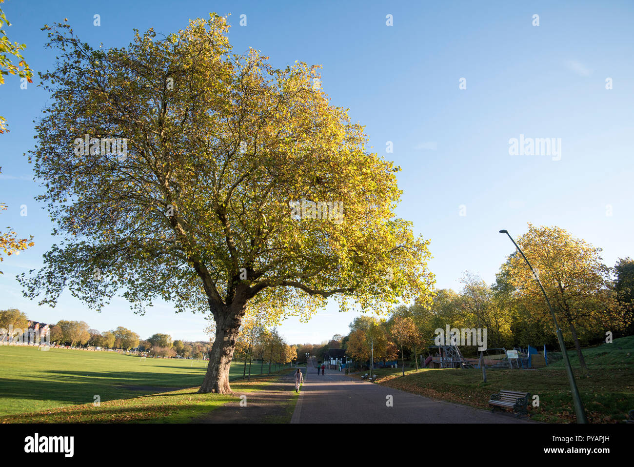 Autumn morning light at the Forest Recreation Ground in Nottingham ...