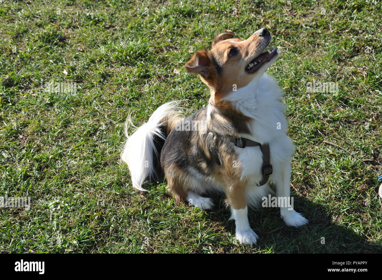 Playing outside hi-res stock photography and images - Alamy