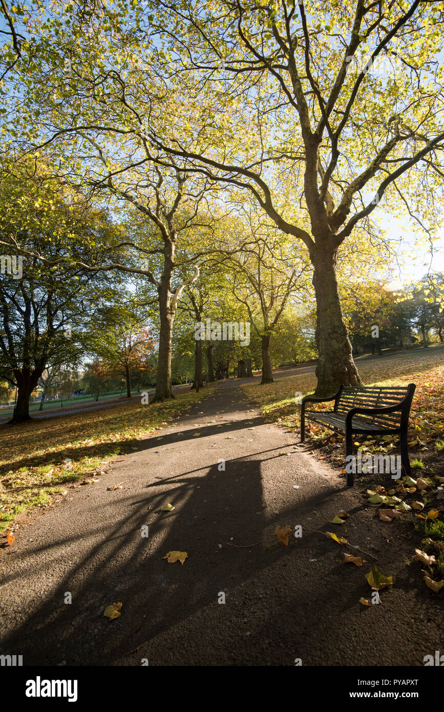 Forest Recreation Ground Nottingham England Stock Photos & Forest ...