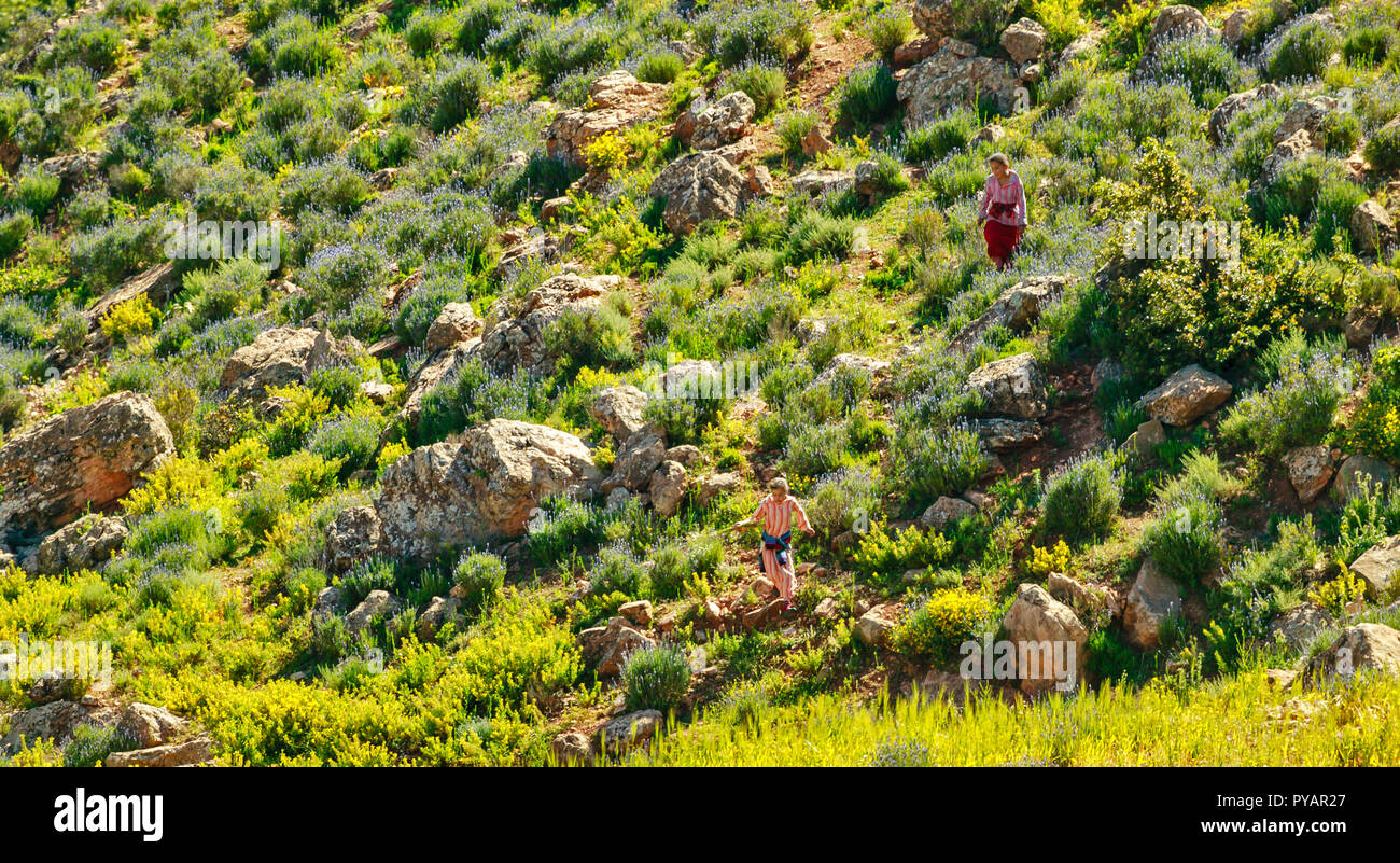 MOROCCO SOUS VALLEY RURAL SCENE TWO YOUNG PEOPLE RUNNING ON A HILLSIDE ...