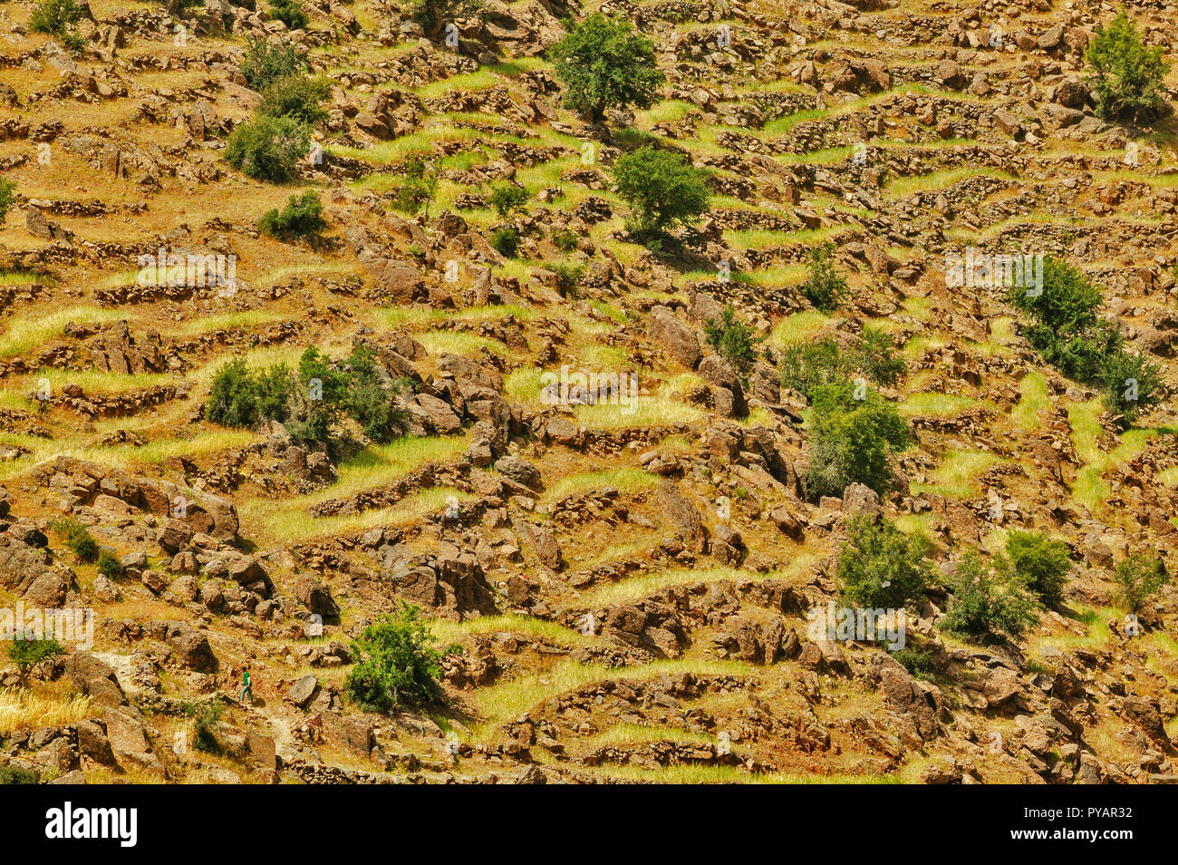 Terrace Farming Africa High Resolution Stock Photography and Images - Alamy