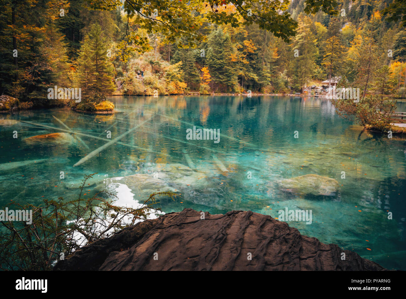 Autumn time at romantic forest lake Blausee, one of the best known ...