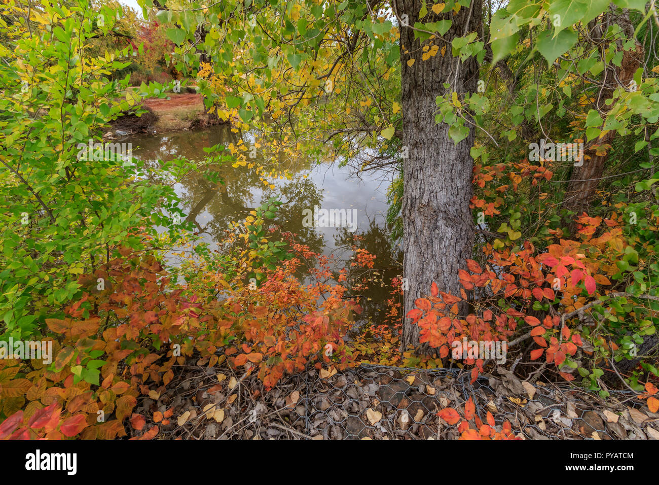 Oklahoma City's Lake Hefner surrounded by trees in fall color Stock ...