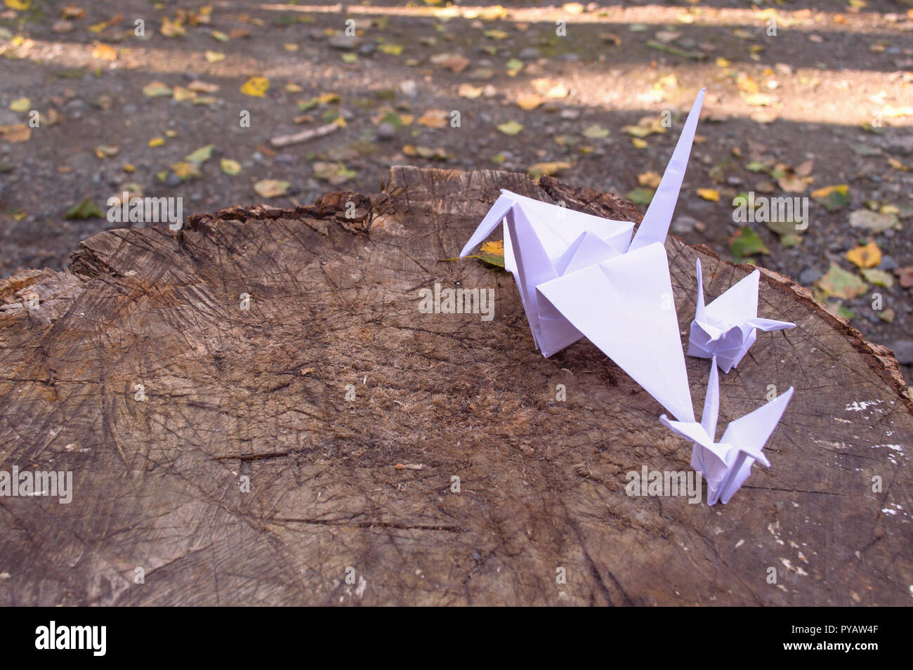 White origami cranes hi-res stock photography and images - Alamy