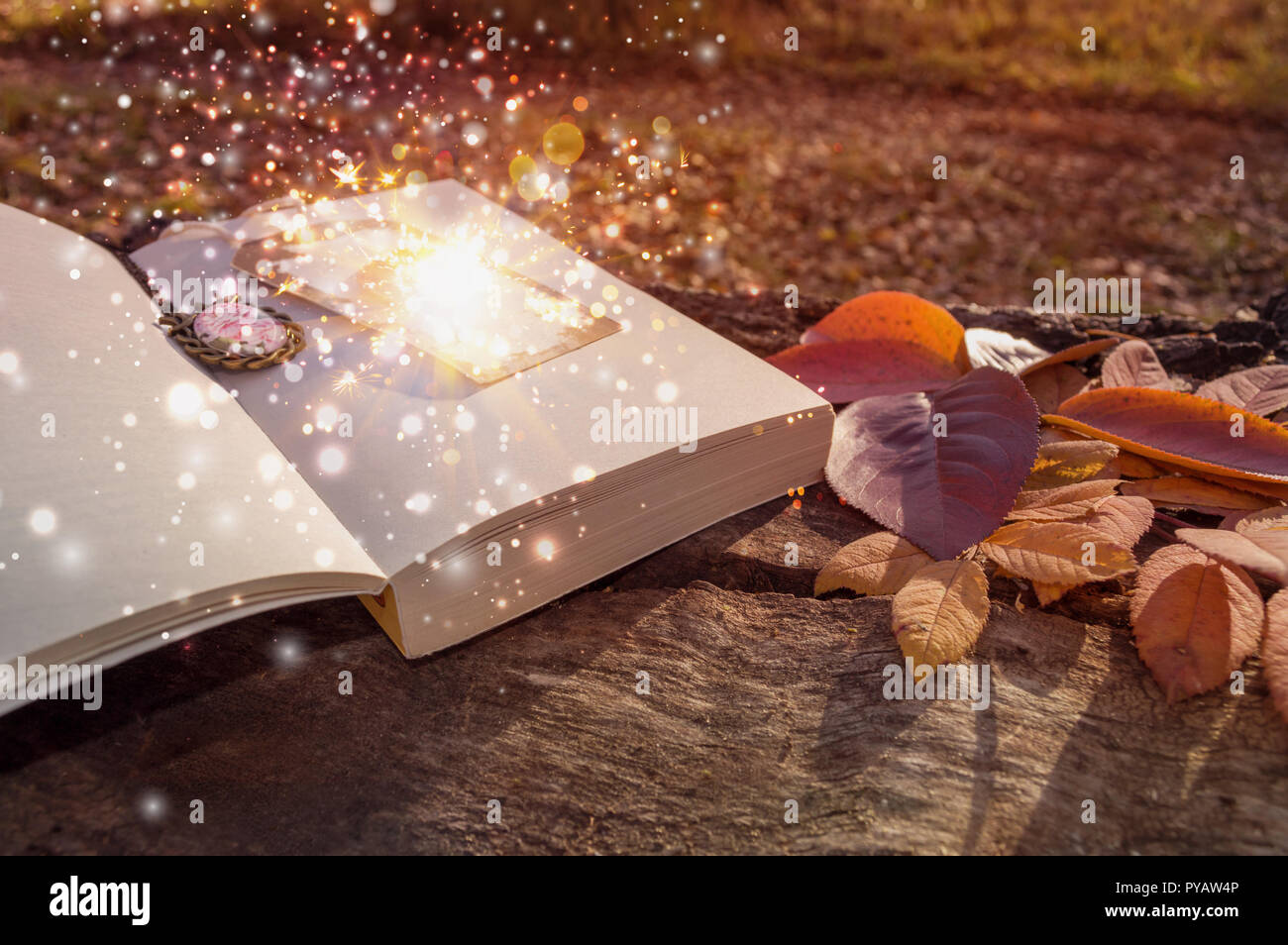 concept image of magic flowing and sparkling from bookmark of book ...