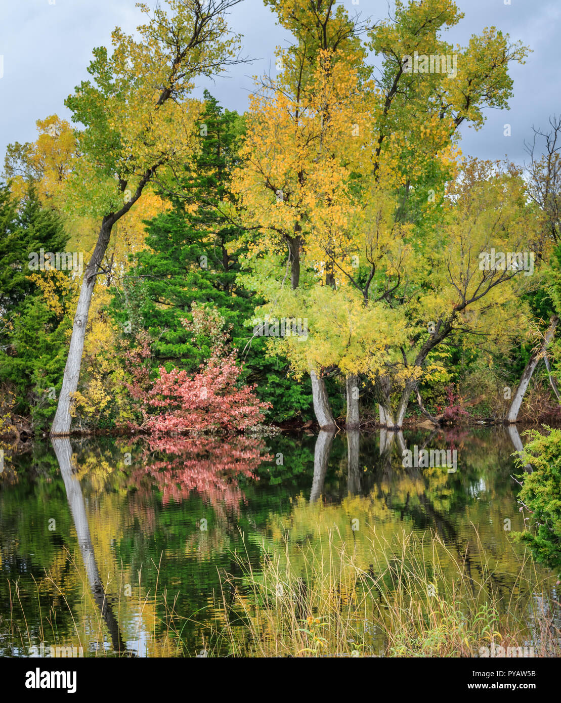 A small pond in Oklahoma City surrounded by trees in fall color Stock ...