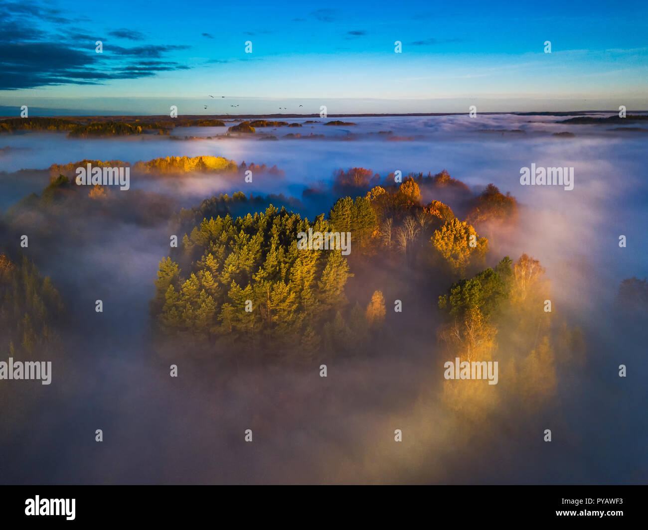 Aerial view of Gloria and a fog halo Stock Photo - Alamy