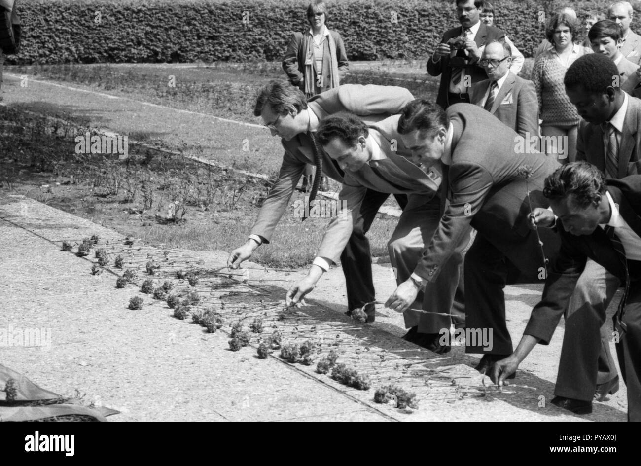 The 6th Congress of the German Communist Party (DKP) on 29 - 31 May ...