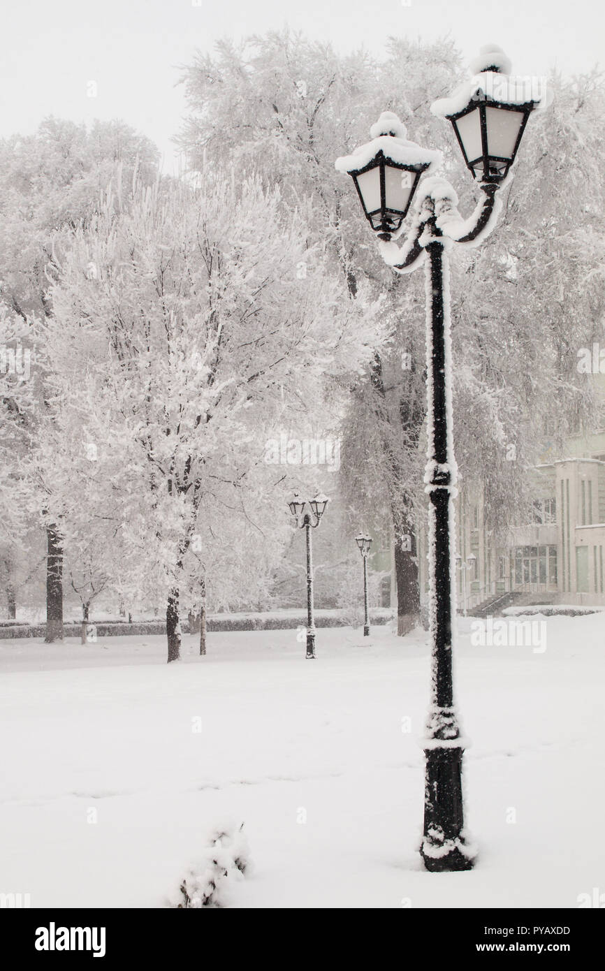 Vintage black street lamppost with two lamps and trees covered with ...