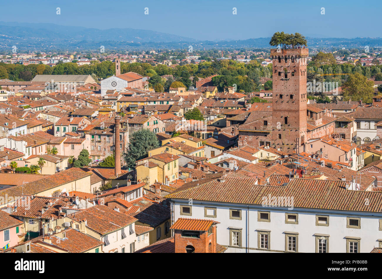 Panoramic view in Lucca, with the famous Guinigi Tower. Tuscany, Italy ...