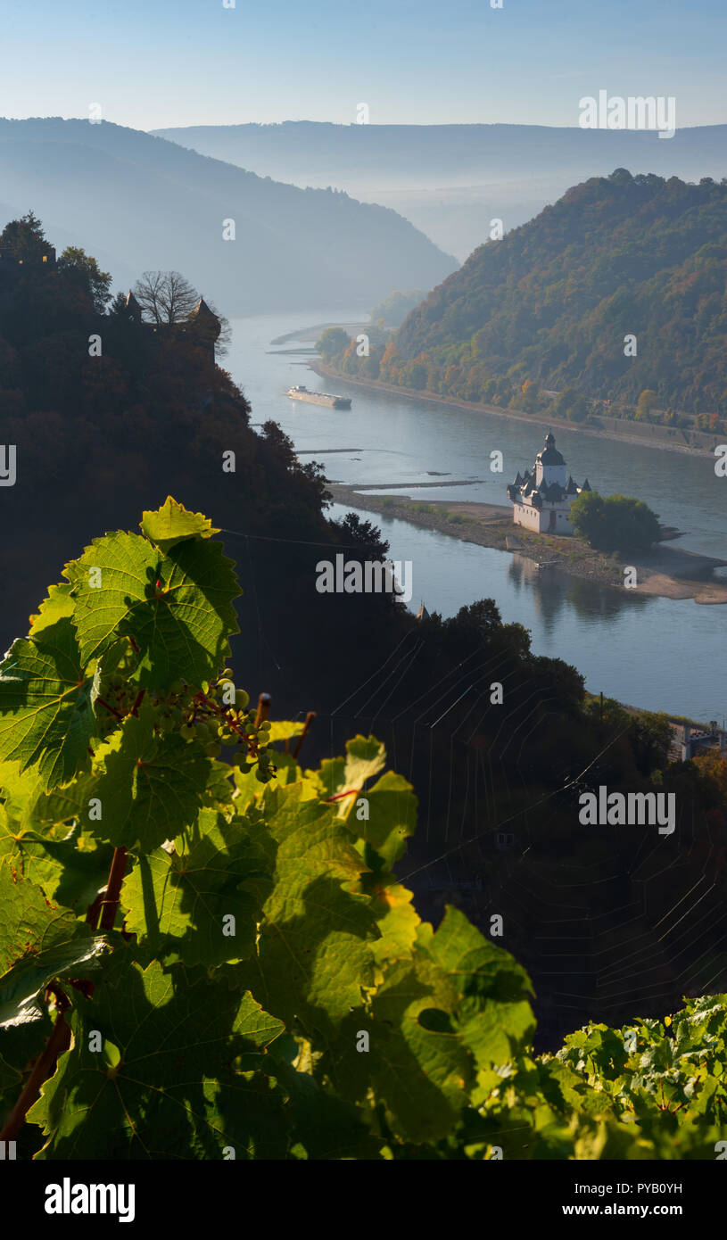 Rhine valley at dawn Stock Photo - Alamy