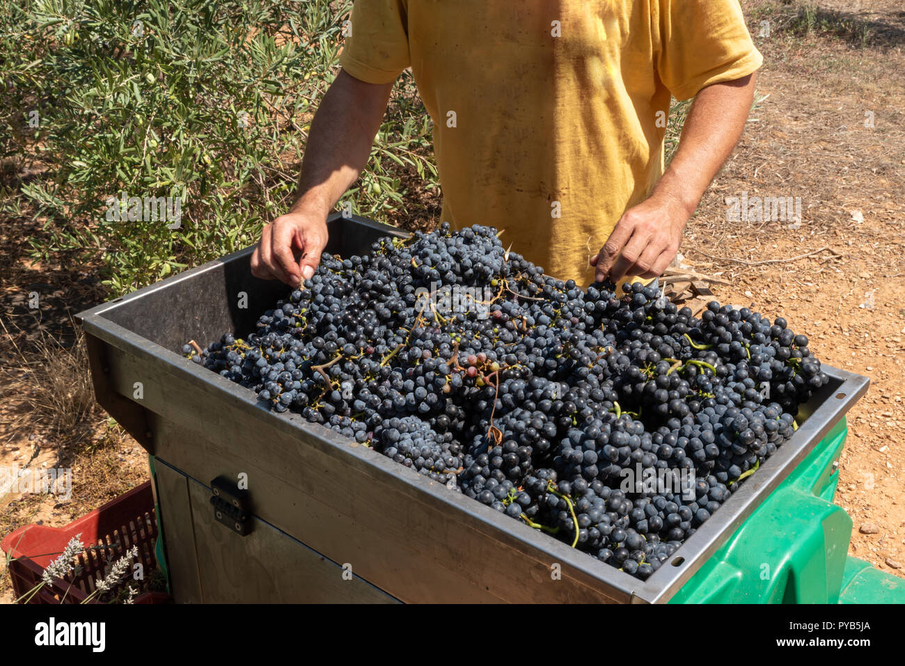 Hands pushing hi-res stock photography and images - Alamy