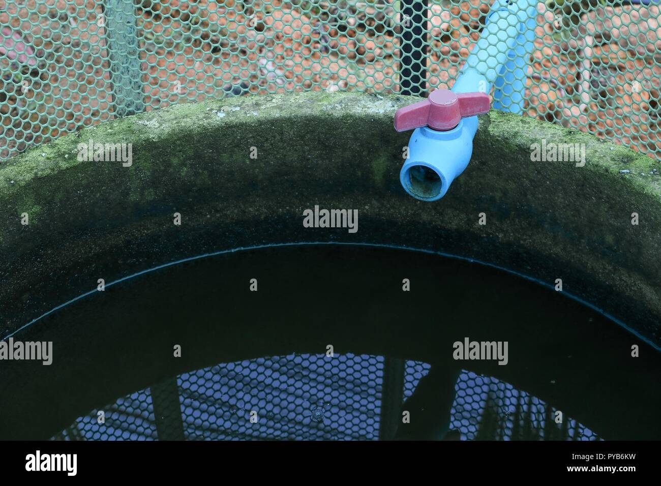 plumbing in aquatic fish farm with copy space for add text Stock Photo ...