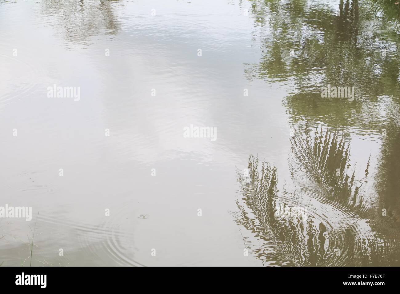 Shadow tree and sky reflect in water of a lake landscape in nature ...