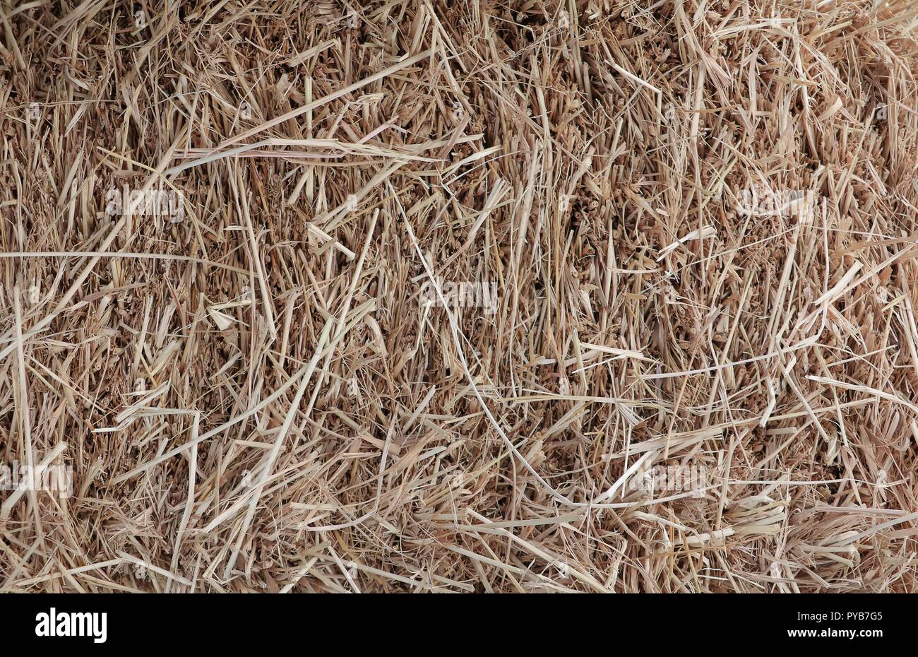 Dry Straw texture background Stock Photo - Alamy