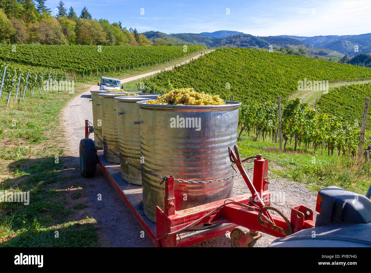Schloss staufenberg hi-res stock photography and images - Alamy