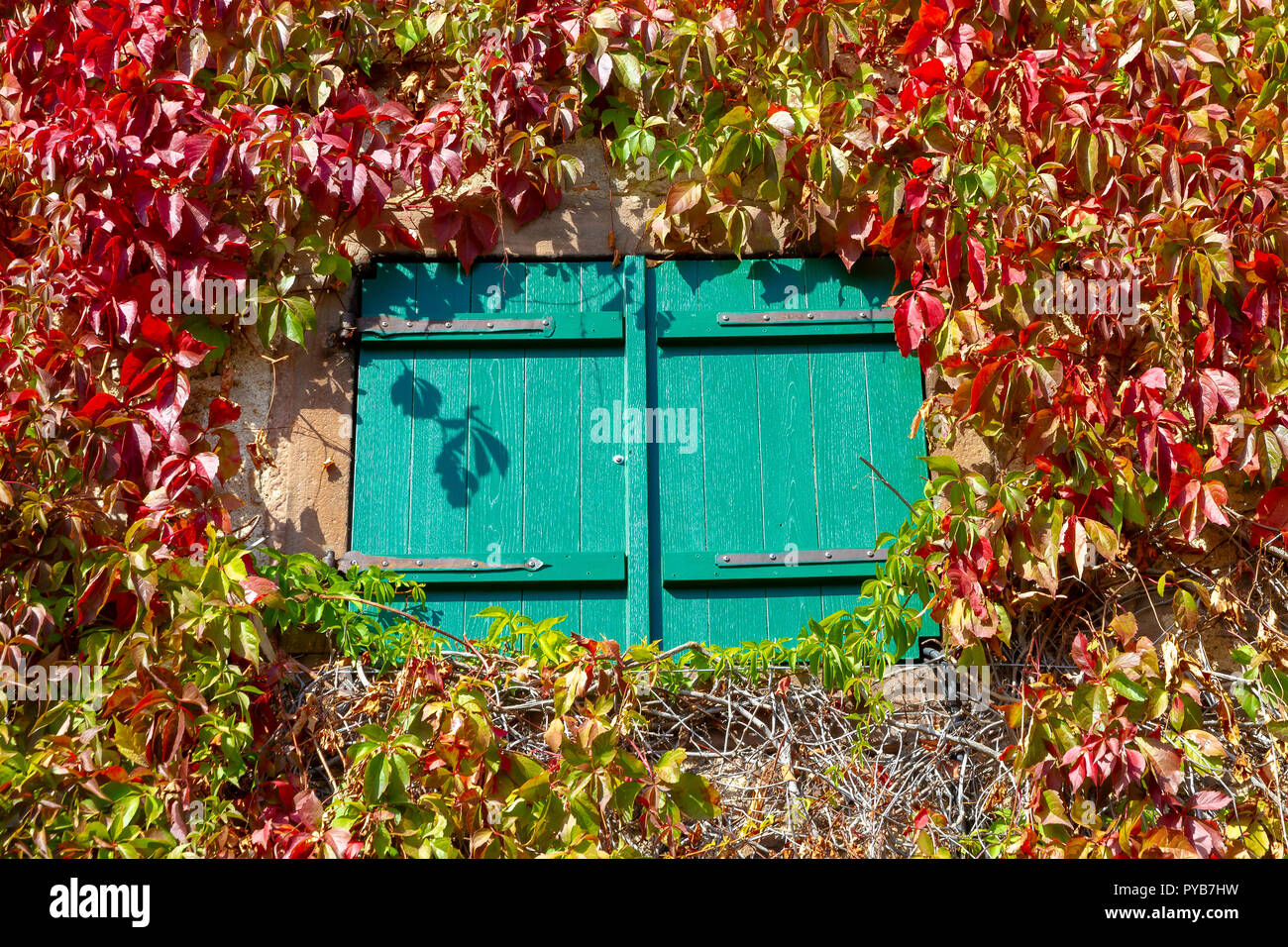 Window framed with autumn leaves hi-res stock photography and images ...