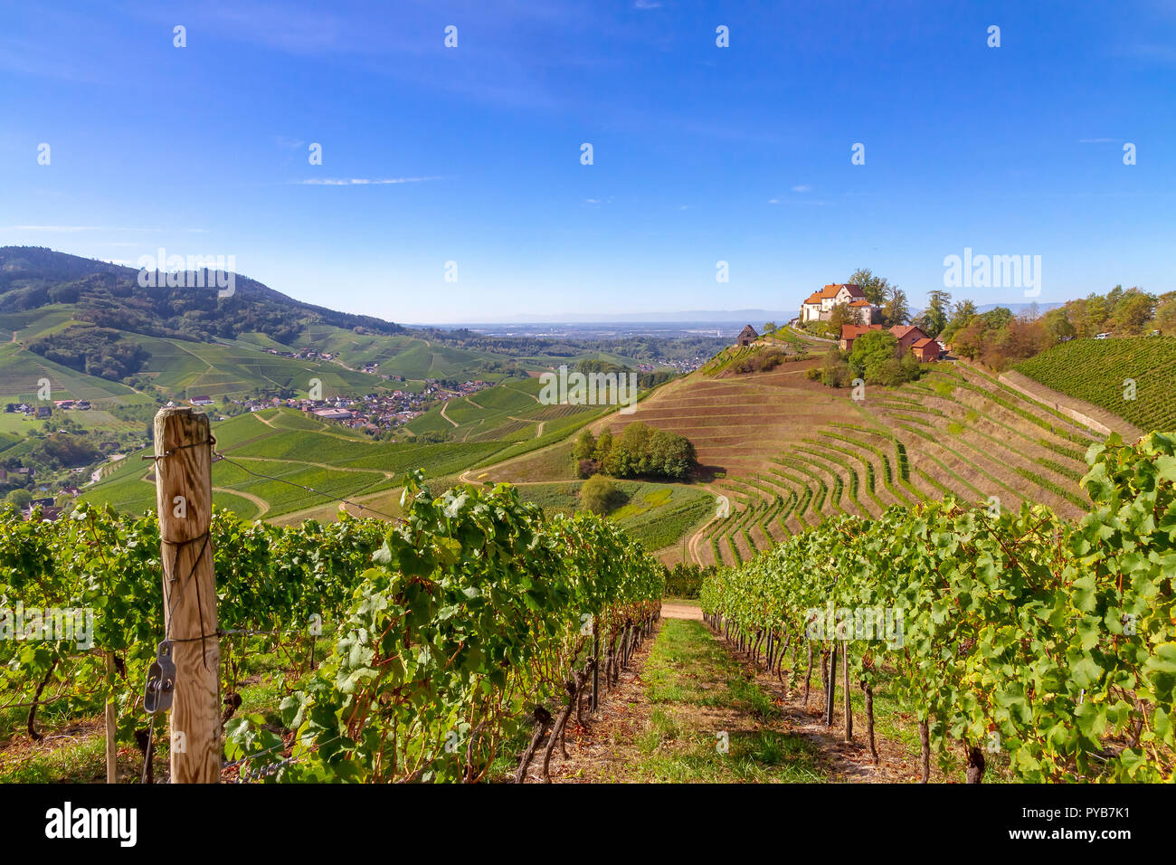 Germany baden wurttemberg durbach vineyard hi-res stock photography and ...