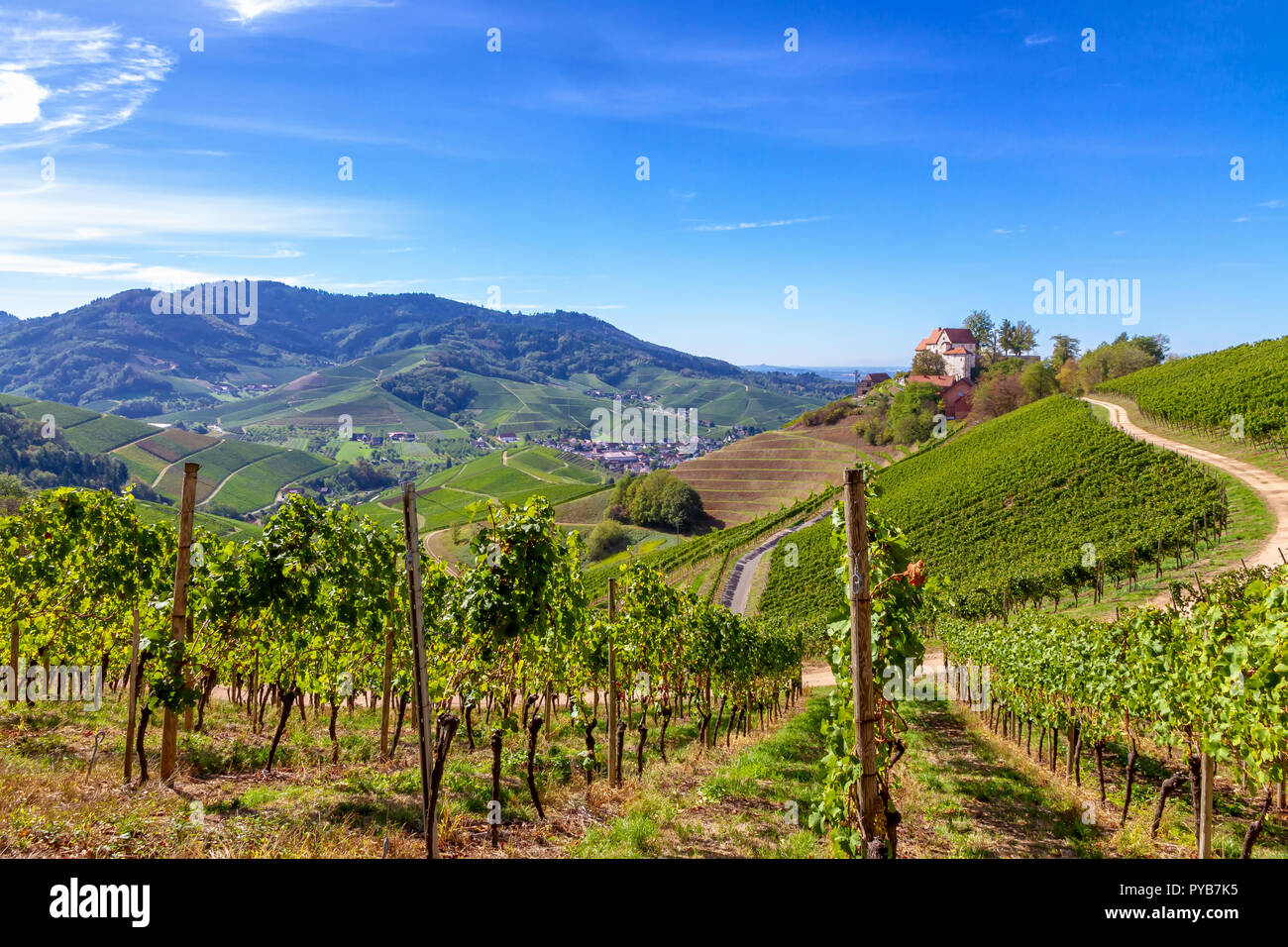 Durbach hi-res stock photography and images - Alamy