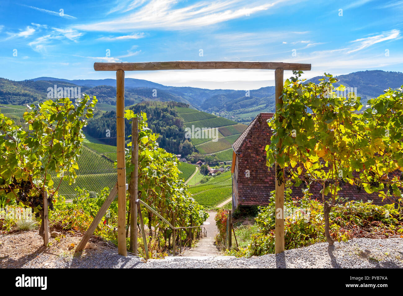 Schloss staufenberg hi-res stock photography and images - Alamy