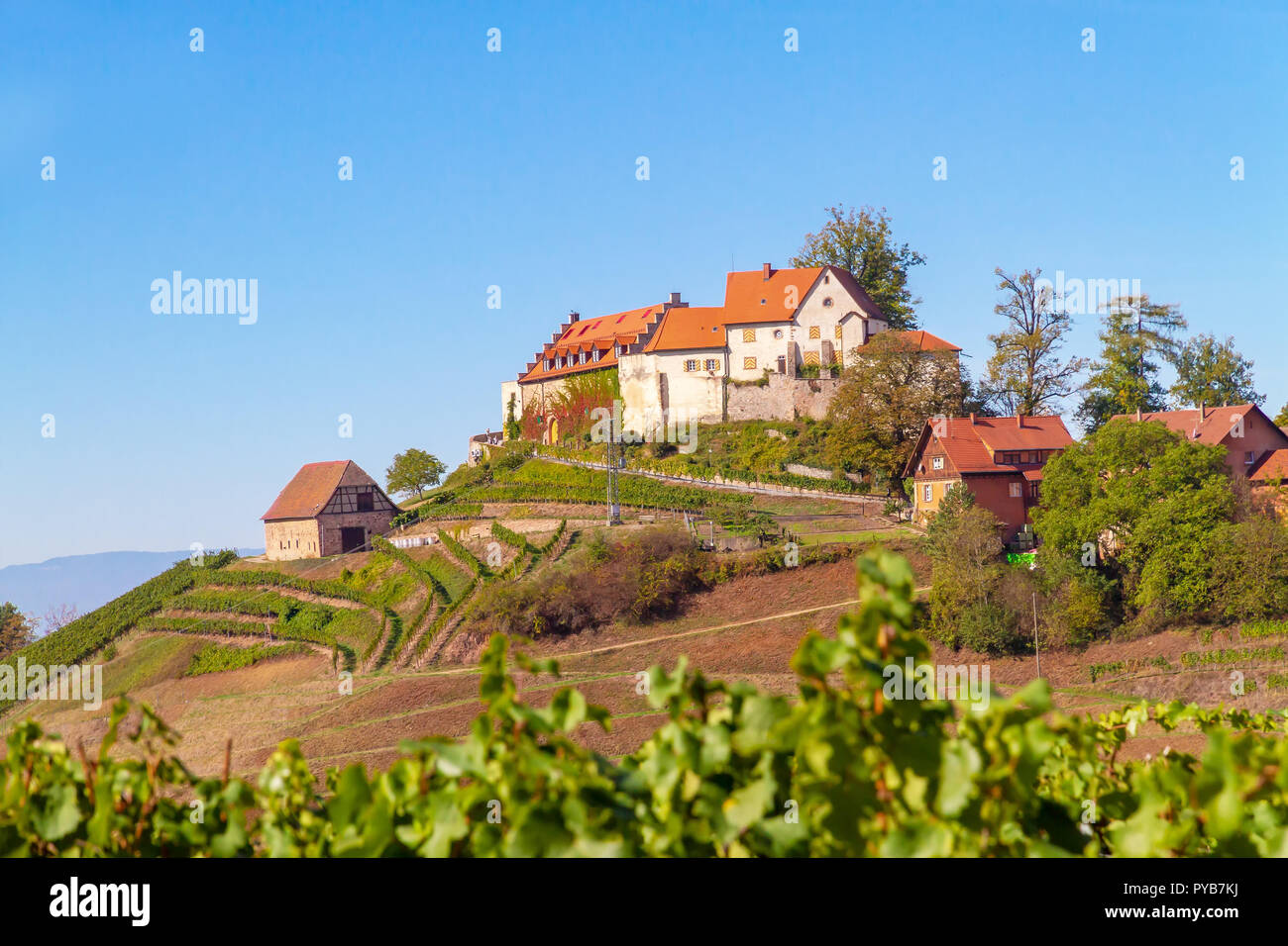 Durbach, Castle Staufenberg, Black Forest, Germany Stock Photo - Alamy