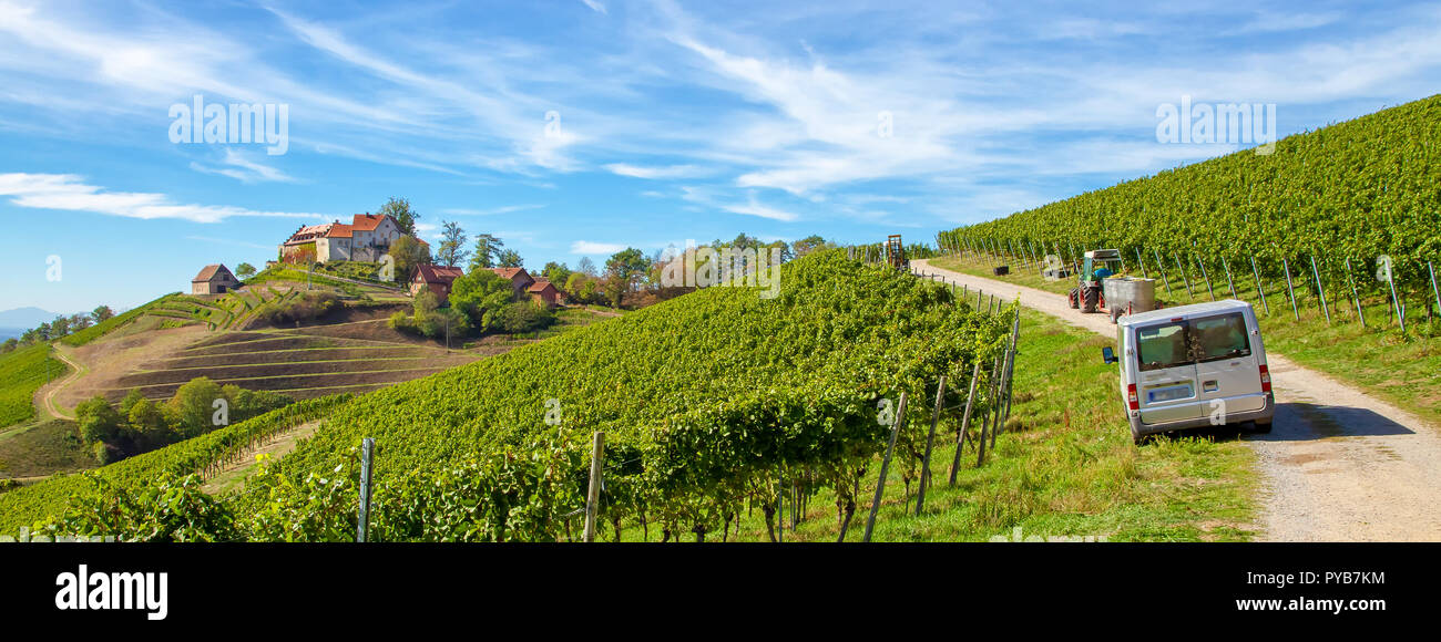 Germany baden wurttemberg durbach vineyard hi-res stock photography and ...