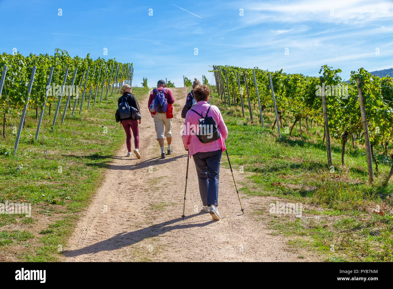 Black forest germany walking hi-res stock photography and images - Alamy