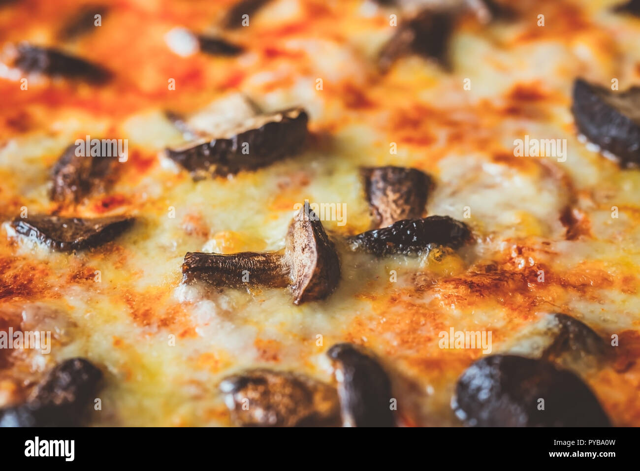 Top view fresh porcini hi-res stock photography and images - Alamy