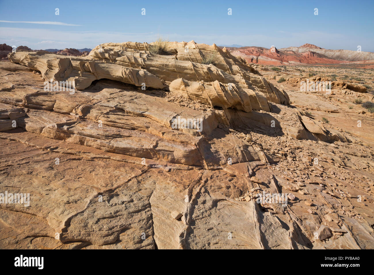 NV00037-00...NEVADA - Delicate compaction bands running through the ...