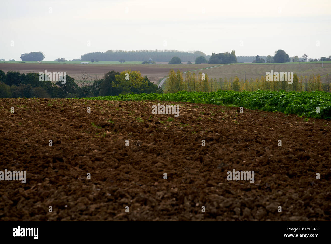 A view from the Leipzig Salient looking across where the front line was ...
