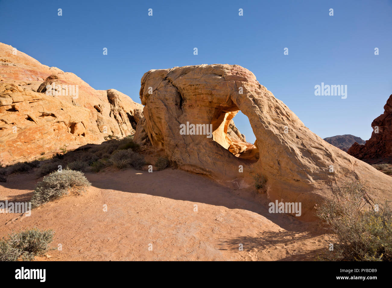 NV00051-00...NEVADA - A window through the Aztec sandstone located in ...