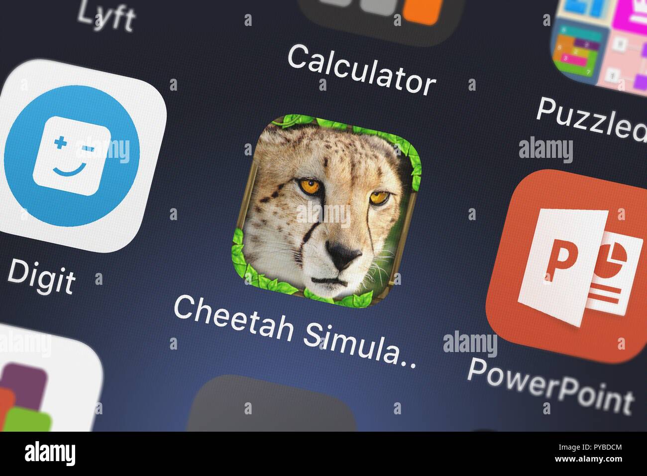 Cheetah simulator hi-res stock photography and images - Alamy