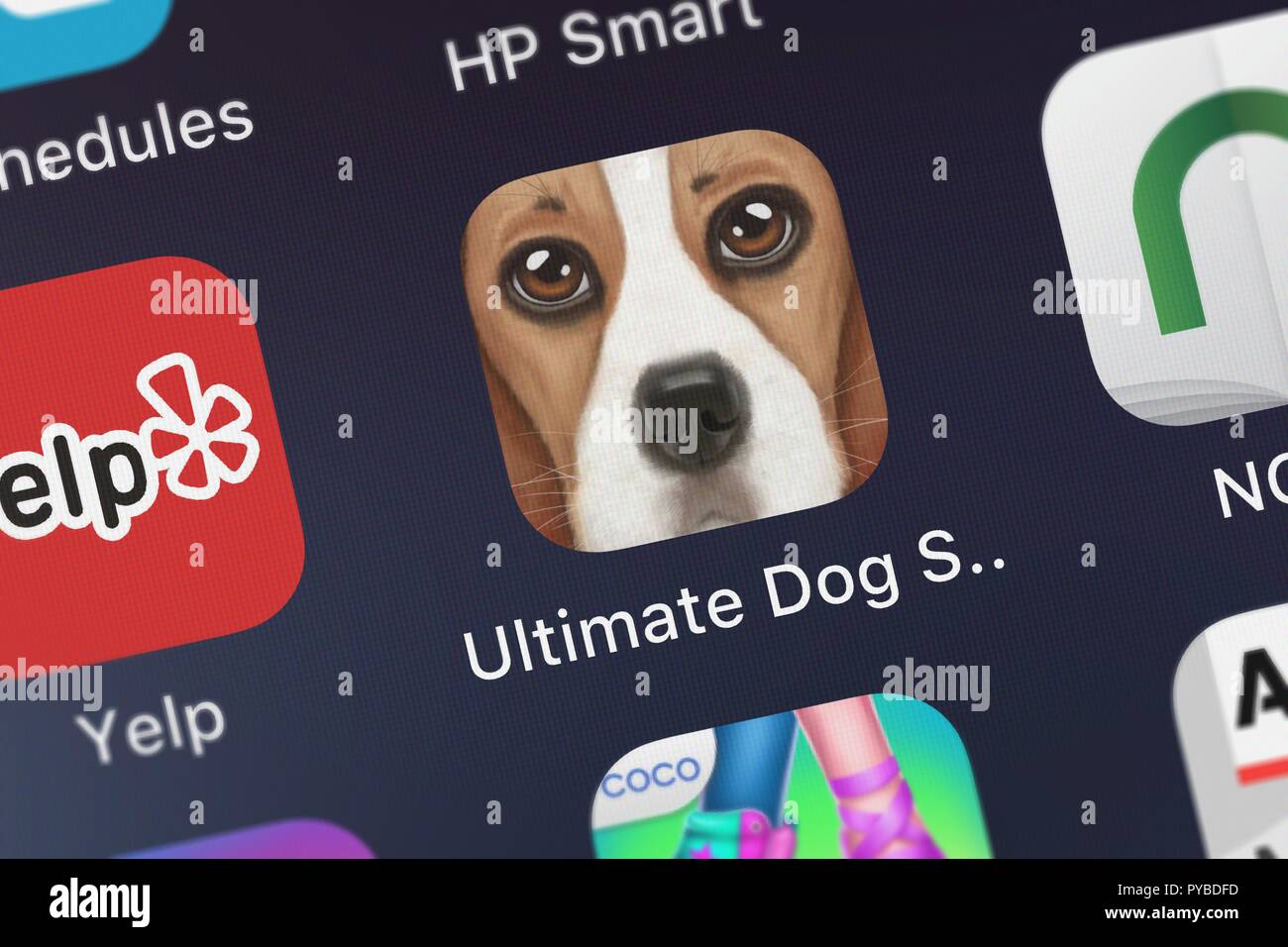 London, United Kingdom - October 26, 2018: Screenshot of the mobile app ...