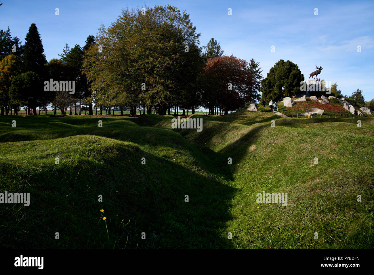 Partially preserved trenches at The Newfoundland Memorial Park at ...