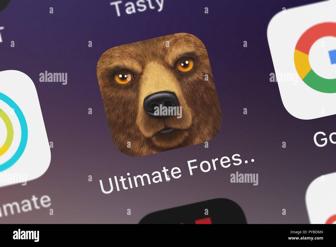 Ultimate forest simulator hi-res stock photography and images - Alamy