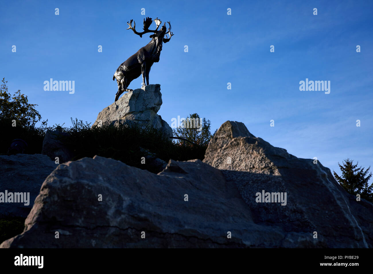 Newfoundland memorial wwi hi-res stock photography and images - Alamy