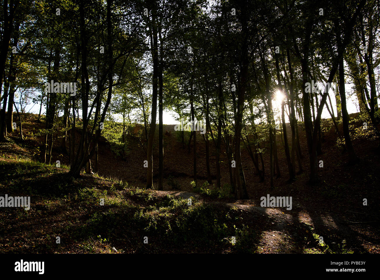 Hawthorn Ridge crater on the Somme battlefield made famous by footage ...